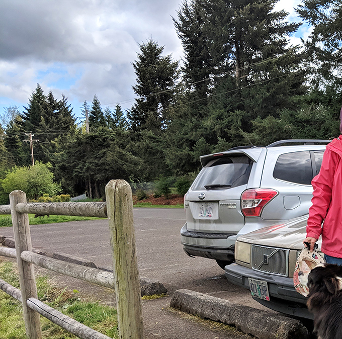 Parking spaces where the biggest traffic concern is whether that's a deer or a large dog.