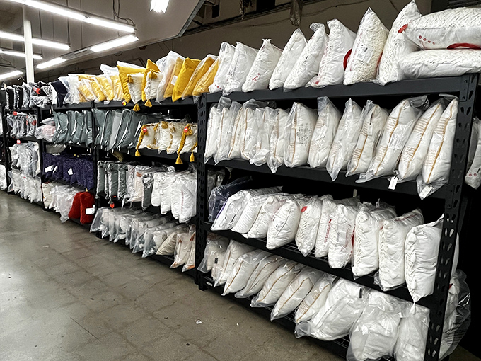 The pillow section - where comfort meets affordability in a plush, cushiony romance your neck will thank you for.