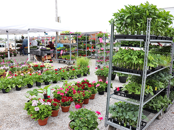 Plant parents, beware! This garden section has been known to turn casual browsers into people who name their houseplants.