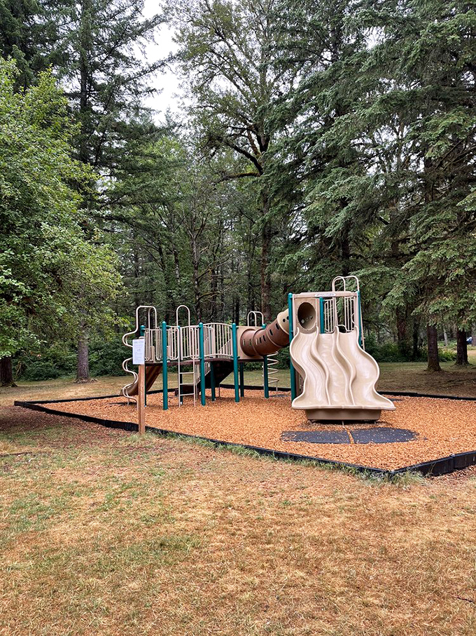 Where kids burn energy while parents recover from trail exertion. Nature's version of "yes, we have Wi-Fi," except the connection is to actual joy.