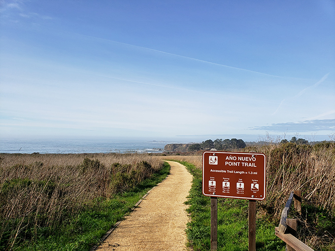 A trail that whispers "follow me" – the kind of invitation that has launched a thousand hiking boots and Instagram posts.