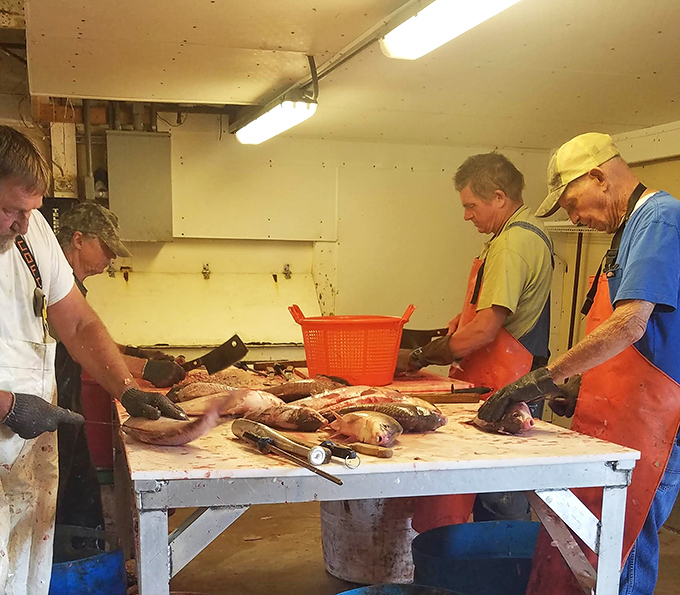 The behind-the-scenes magic where river bounty becomes dinner. These skilled hands have prepared countless fish with the precision that only comes from years of practice.