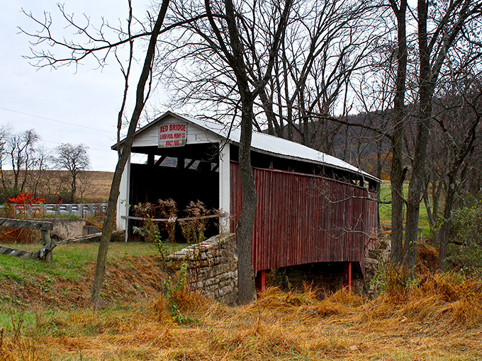 Every angle tells a different story, but they all whisper the same message: permanence.
