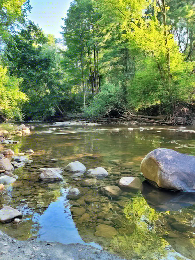 Clear waters reveal every pebble and stone – like nature's own version of high-definition that no screen can truly replicate.