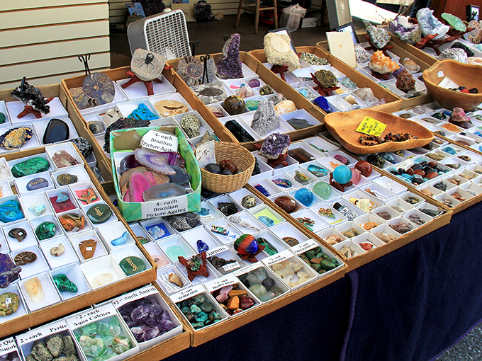 Earth's jewelry box laid bare. This mesmerizing collection of minerals and crystals transforms geology into an accessible treasure hunt for all ages.