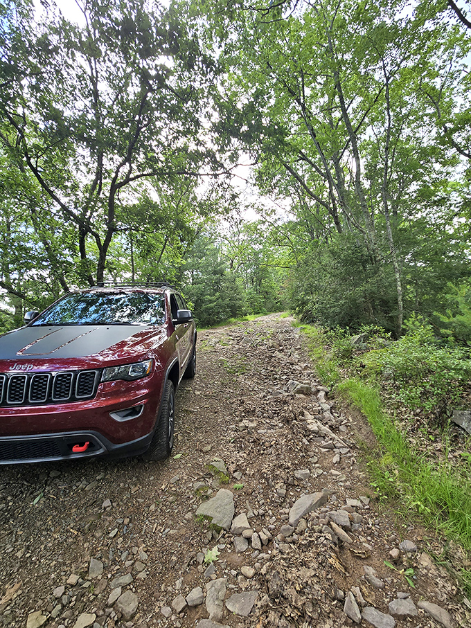The journey to beauty is sometimes bumpy. This rugged road reminds us that the best destinations often require a little extra effort.