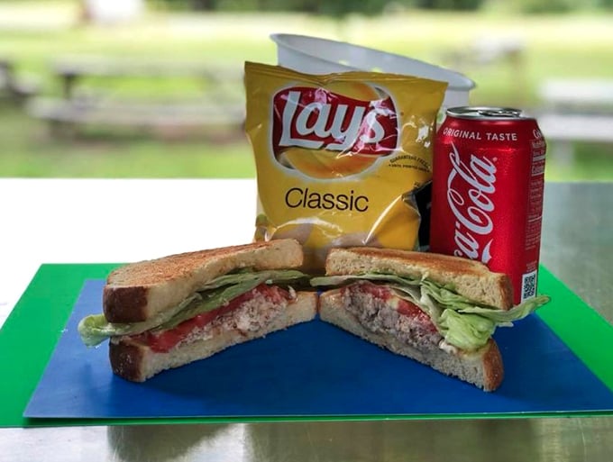 A sandwich that requires strategic eating plans and multiple napkins. The structural integrity is questionable, but the flavor is undeniable.