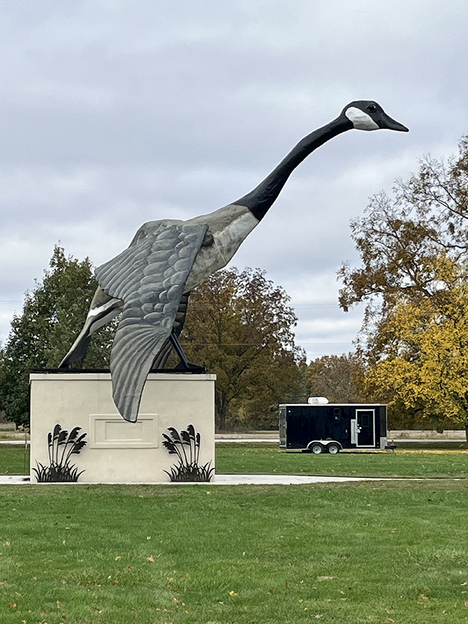 Viewed from the side, Maxie's dynamic pose captures that perfect moment of takeoff. Forty feet of frozen flight ready to soar.