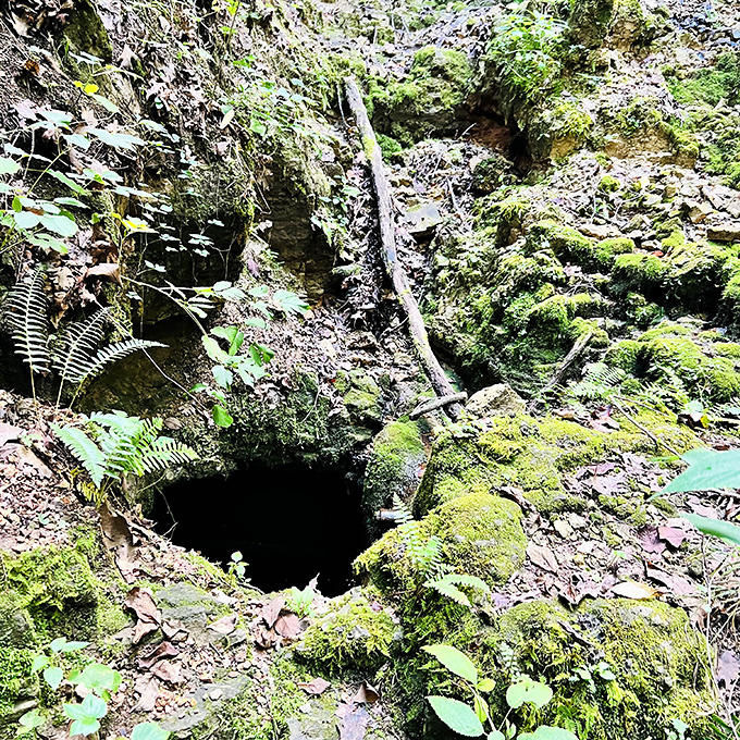 A perfect circle of darkness nestled in the forest floor, this sinkhole entrance looks like Mother Nature's version of a hobbit hole.