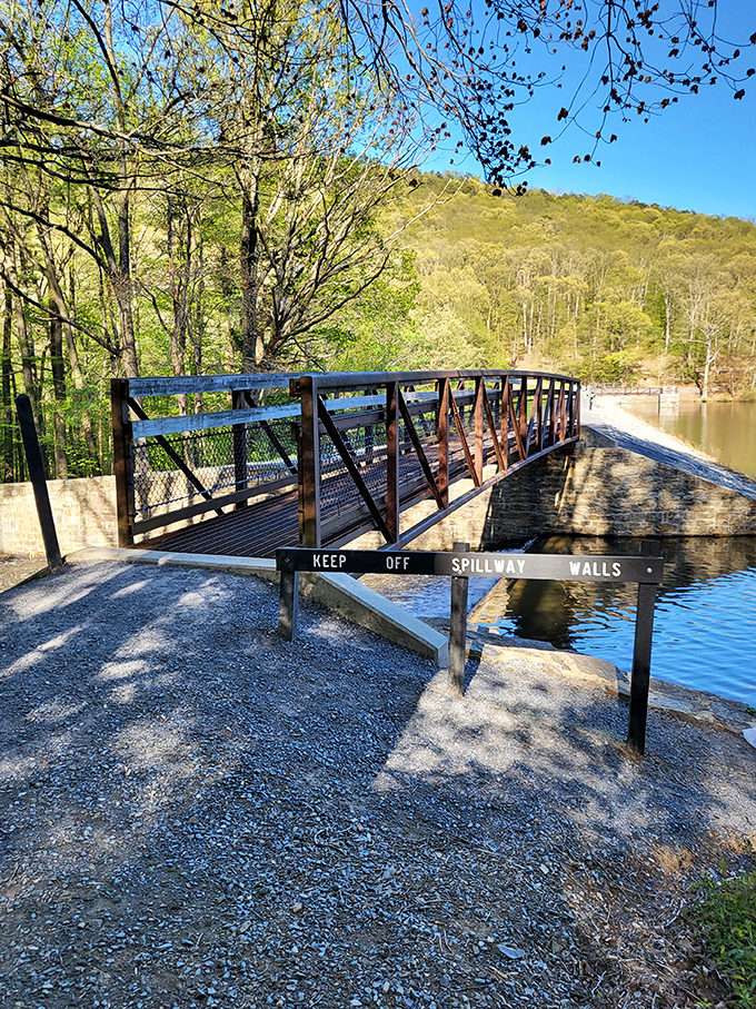 The spillway bridge offers both practical passage and picture-perfect views. Engineering that enhances rather than intrudes upon nature's design.