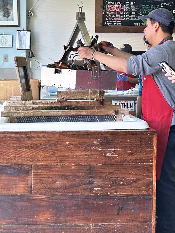 Behind every great seafood feast is a team that knows their way around a crustacean. The license plates aren't decoration &ndash; they're badges of coastal honor.