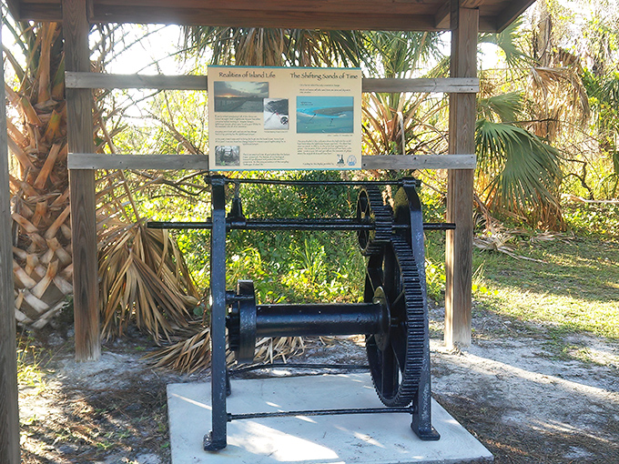 Historical remnants tell tales of Florida's past. This sugar cane press has more stories than your uncle after his third glass of holiday eggnog.