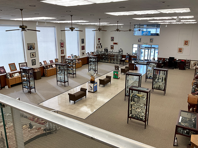 A bird's-eye view of the museum floor reveals the impressive scope of this collection &ndash; a veritable Smithsonian for the feline-inclined.