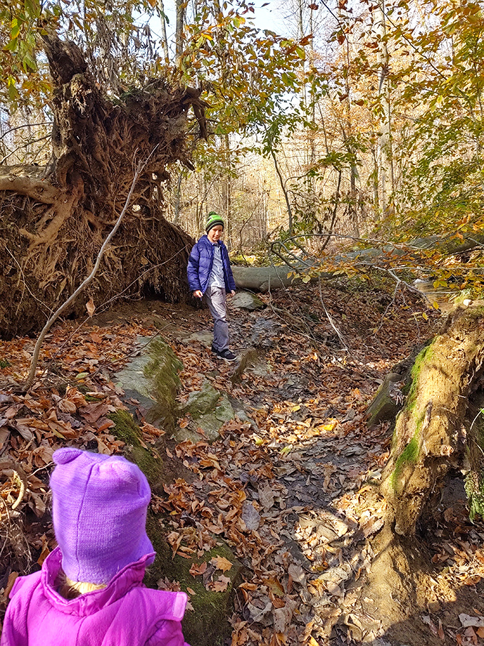 The trail offers natural obstacles that make you feel like you're on an adventure, not just a walk in the park.