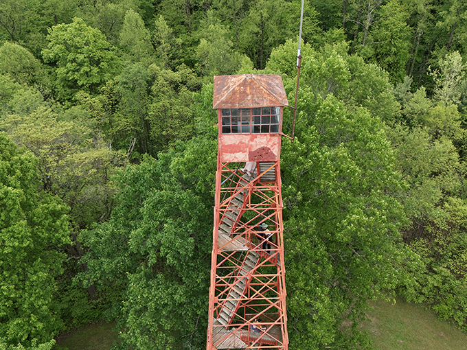 This fire tower stands sentinel above the canopy, offering panoramic views that will have you deleting apps to make room for more photos.