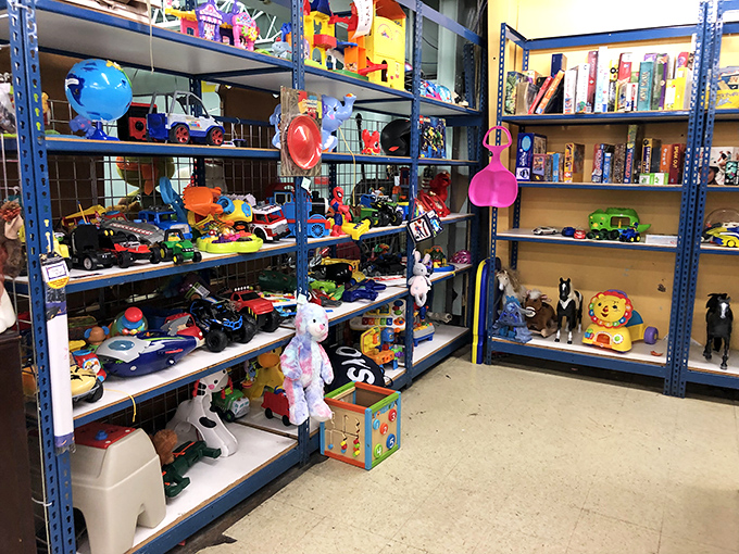 Toy story indeed&mdash;plastic playmates patiently waiting for new adventures. That blue shelf could stock a daycare or make one child extraordinarily happy.