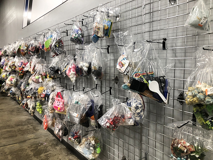 The bagged toy section: where childhood memories are recycled, collectibles sometimes hide, and grandparents score major points with minimal investment.