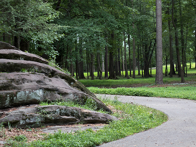 Walking trails invite exploration at a pace that allows you to actually notice the world around you.
