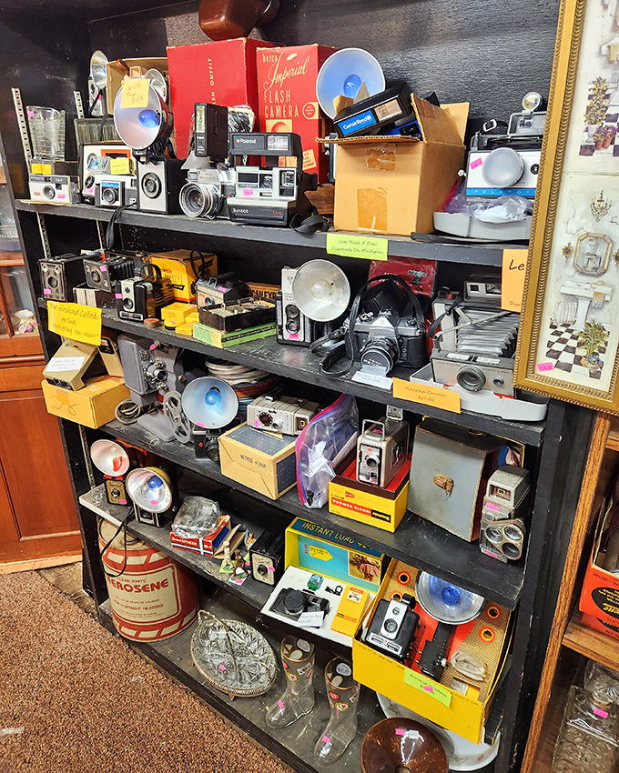 Camera collection spanning photography's golden age. From Brownies to Polaroids, these captured memories long before selfies existed.