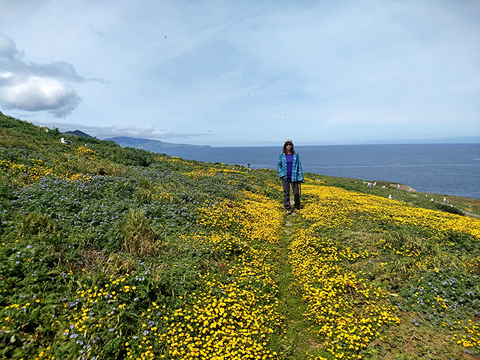 Spring transforms the island into a golden carpet of wildflowers&mdash;nature's version of rolling out the red carpet.