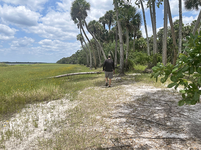 The best hiking companions ask for nothing but the occasional treat and never complain about your choice of trail or terrible singing.