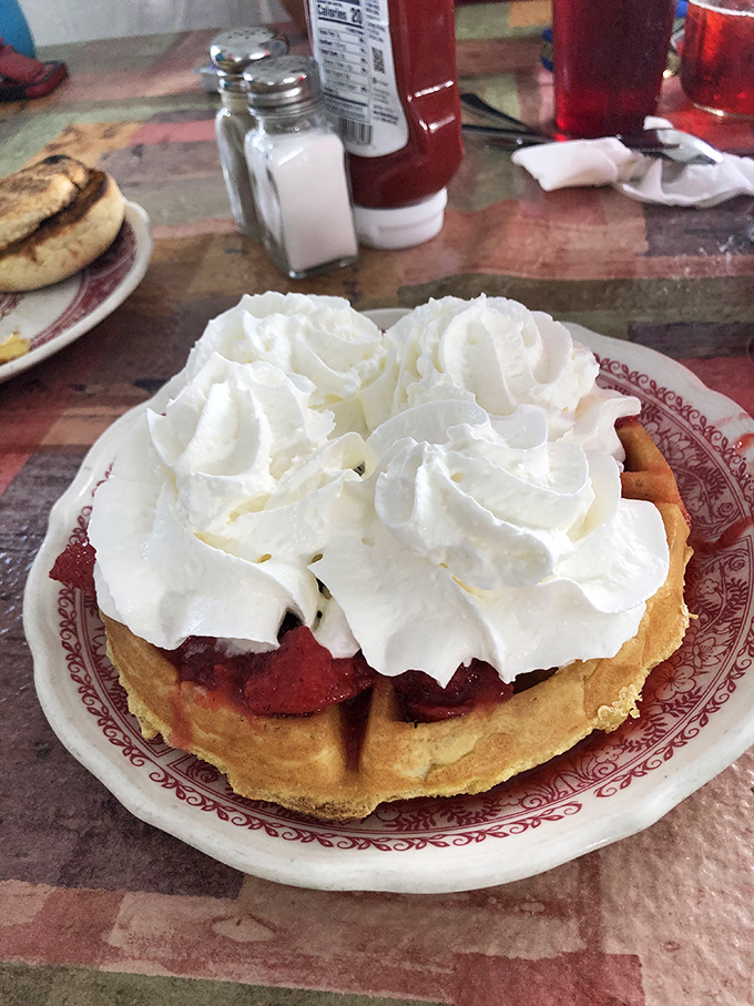 Berry waffle nirvana! Fresh fruit and whipped cream transform this breakfast basic into a dessert you can legitimately eat before noon without judgment.