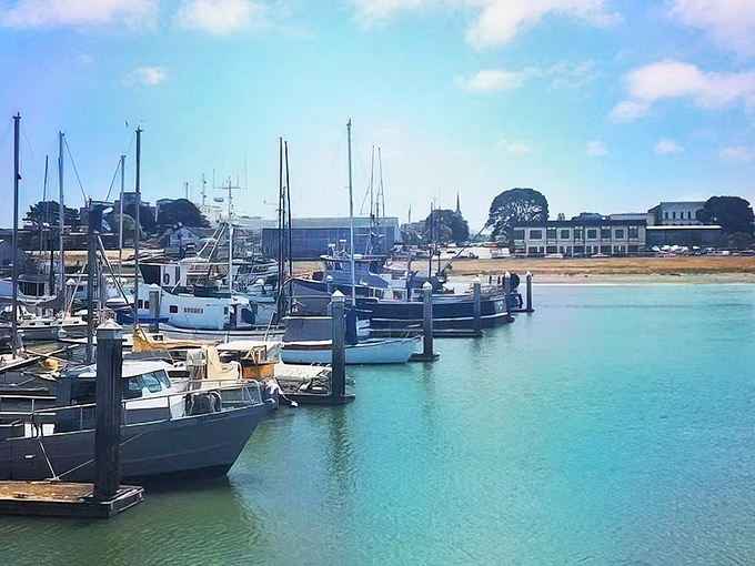 Eureka: The marina's calm waters reflect the sky, creating a perfect mirror image of boats waiting patiently for their next adventure.