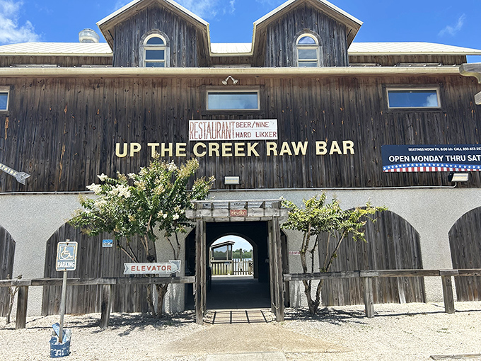 This weathered wooden barn doesn't just serve oysters – it tells the story of Apalachicola's rich maritime heritage.