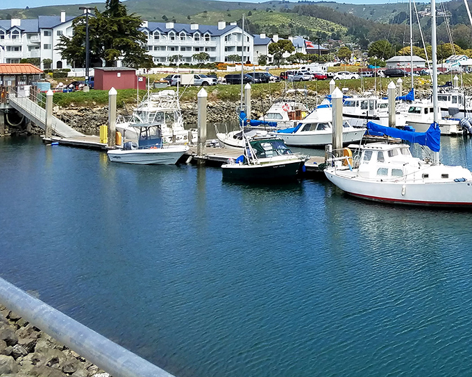Pumpkin capital meets surfing paradise where farms and ocean create California's perfect coastal balance.