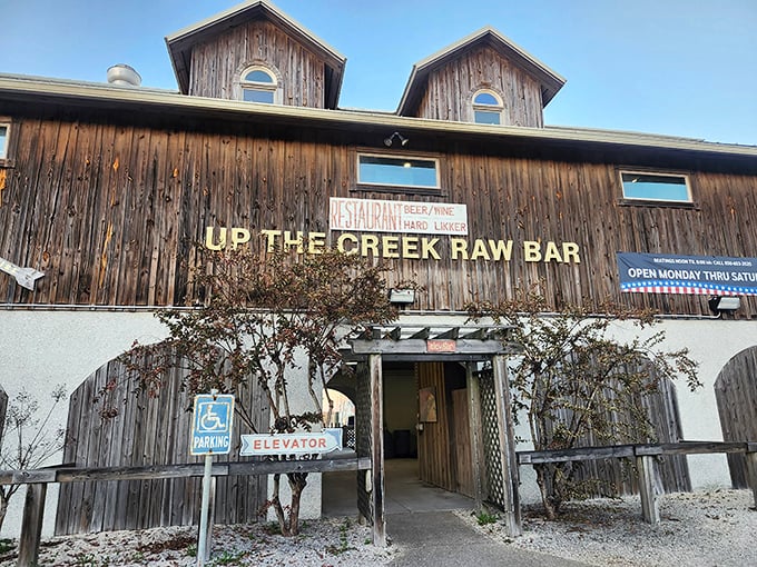 Where the wooden walkway leads to seafood nirvana – with a side of waterfront views that no five-star restaurant could match.