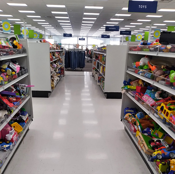 Toy aisle paradise, where plastic dreams come true and parents discover the joy of saying "yes" without checking their bank balance first.