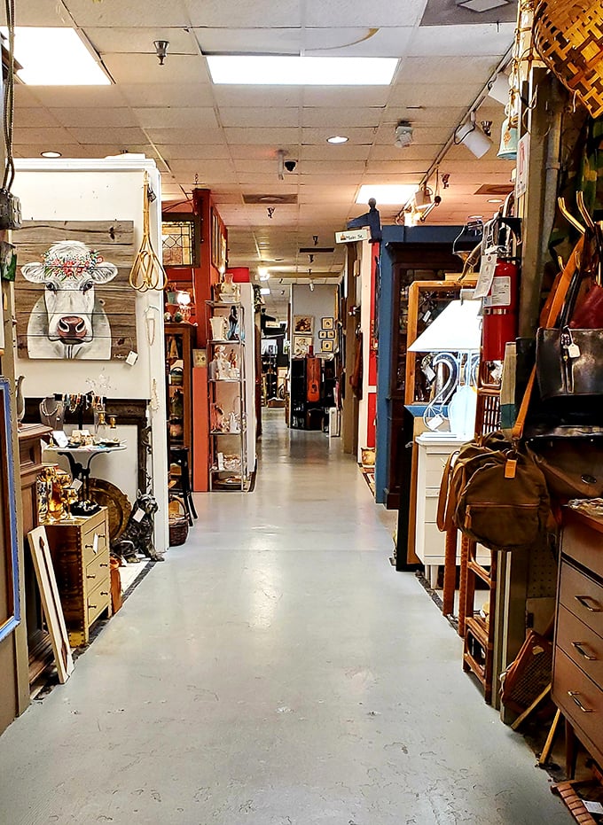 Corridors of curiosities beckon shoppers deeper into the labyrinth. That cow painting might be exactly what your kitchen didn't know it needed.