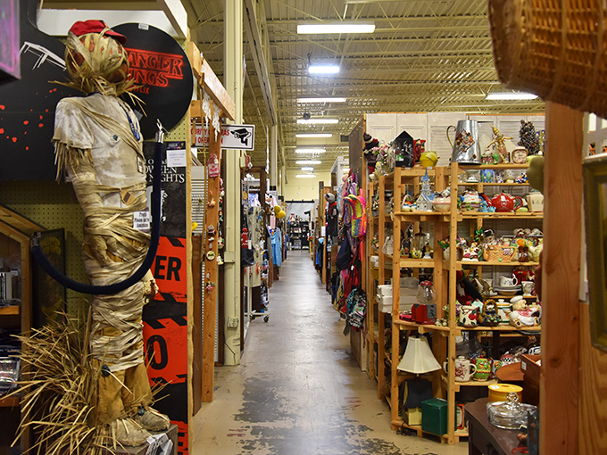 Down the rabbit hole of vintage delights, where Halloween decorations mingle with everyday treasures. The deeper you venture, the more curious things become.