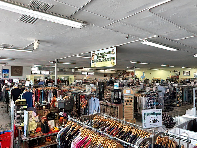 A bird's-eye view of organized chaos. The store's layout transforms what could be overwhelming into a surprisingly navigable treasure map of possibilities.