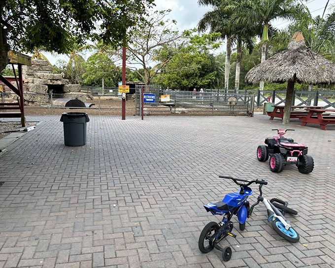 Kid-friendly spaces make this a multi-generational destination. Little ones can burn off that sugar rush while parents contemplate another milkshake.