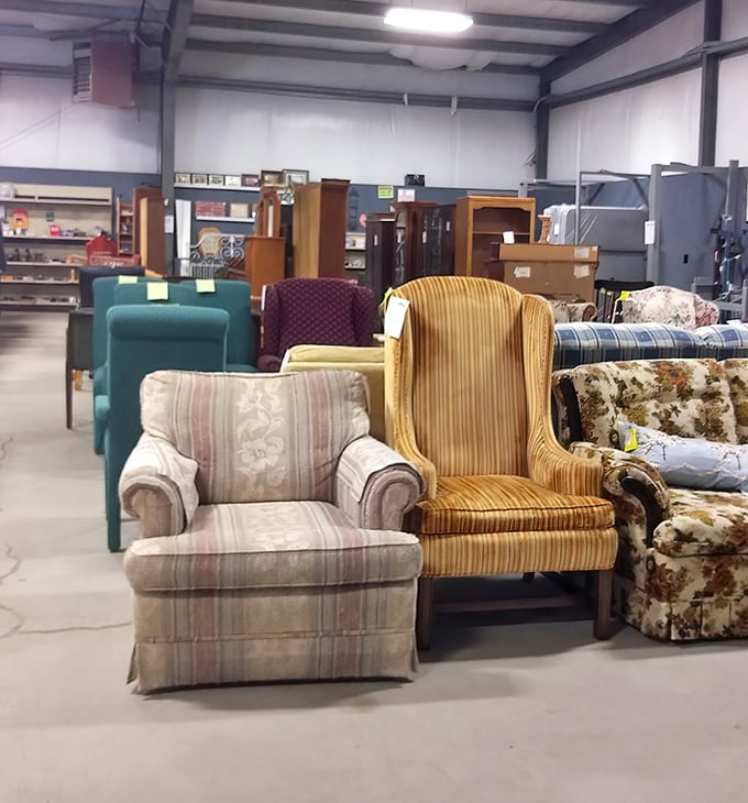 The armchair lineup: where comfort meets character. Like a casting call for "The Most Comfortable Seat in the House," each contender has unique qualifications.
