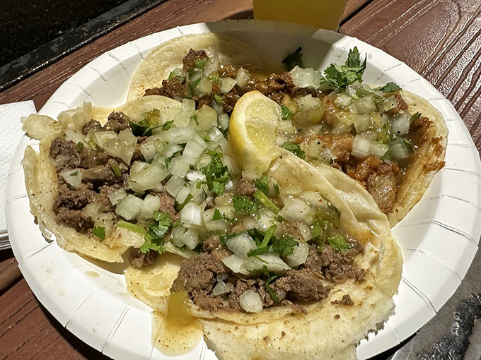 Taco perfection on a paper plate &ndash; the holy trinity of meat, onions, and cilantro with that crucial squeeze of lime. Simplicity that sings.
