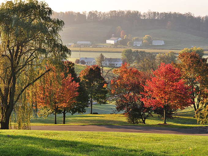 Autumn paints Amish Country with nature's most vibrant palette, turning ordinary hillsides into extraordinary masterpieces worth framing.