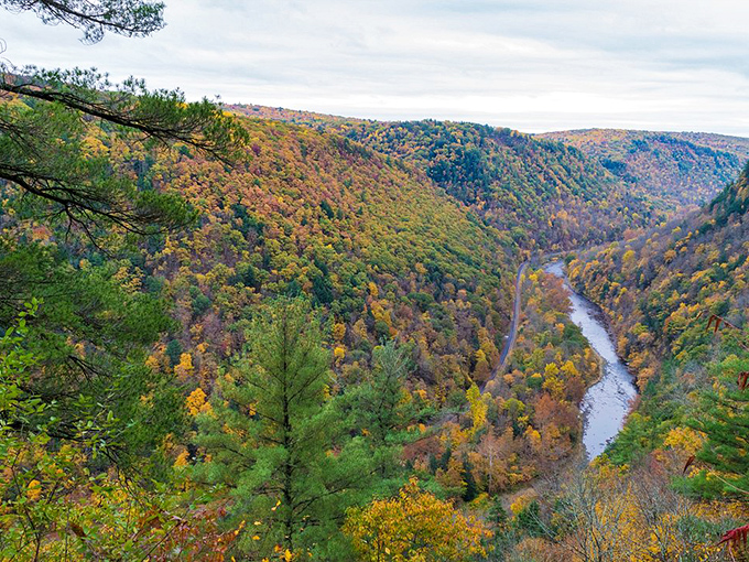 Fall foliage creates nature's patchwork quilt across the canyon walls. Pennsylvania autumn doesn't whisper&mdash;it shouts in brilliant technicolor.