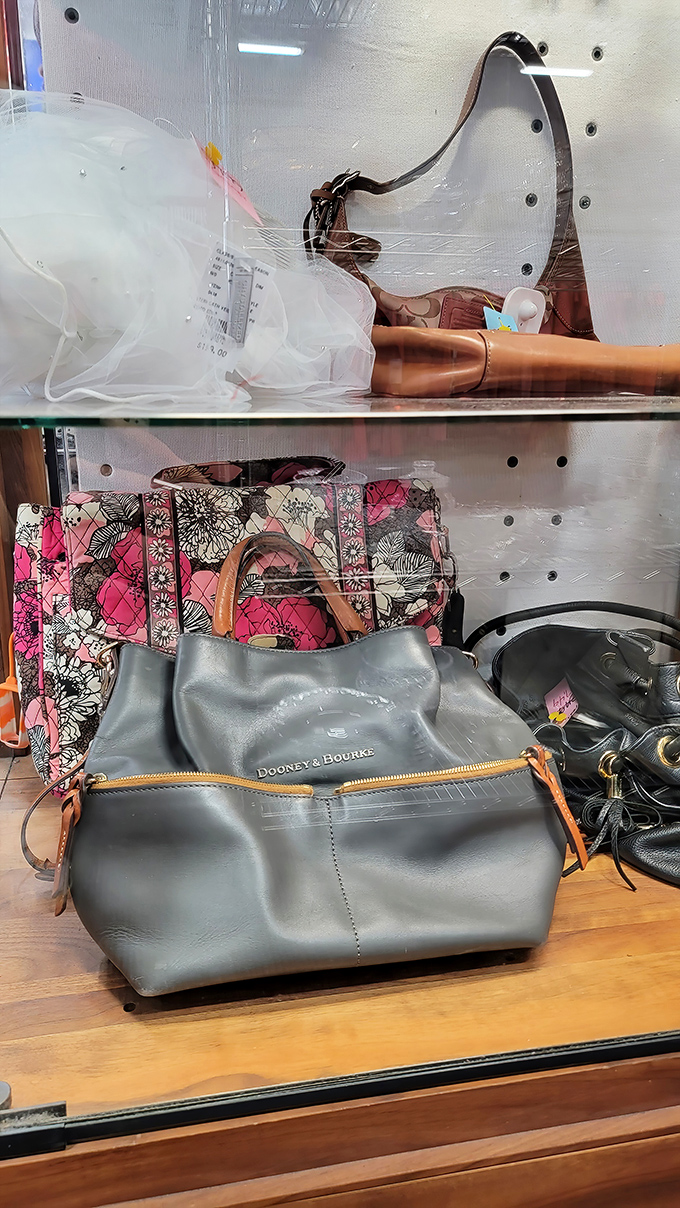 Designer bags without designer prices. That Dooney & Bourke didn't know it would get a second chance at accessory stardom.