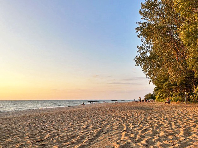 Sandy shores invite barefoot wandering while Lake Erie's gentle waves provide nature's most soothing soundtrack.
