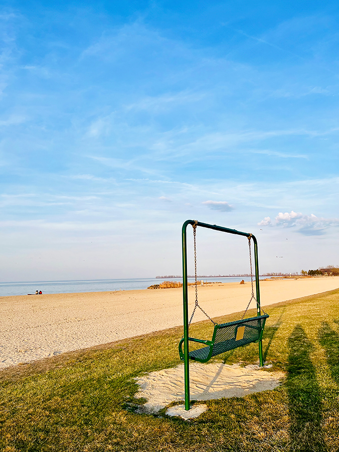 A swing with the best view in Ohio&mdash;where contemplating life's big questions comes with a side of Lake Erie's endless horizon and occasional bald eagle flyby. 
