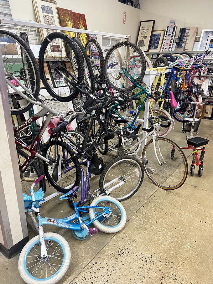 Two-wheeled treasures hang in organized rows, where children's first bikes and adult cruisers await their next adventure.