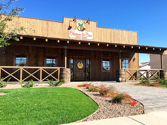 Bloom to Box Crop Care brings rustic charm to agricultural services &ndash; where farming meets Western aesthetic in a building that means business.
