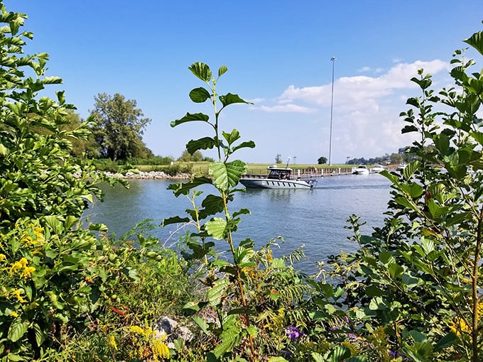 Beyond the greenery, boats glide through protected waters&mdash;a reminder that Breakwater Beach offers adventures both on shore and off.