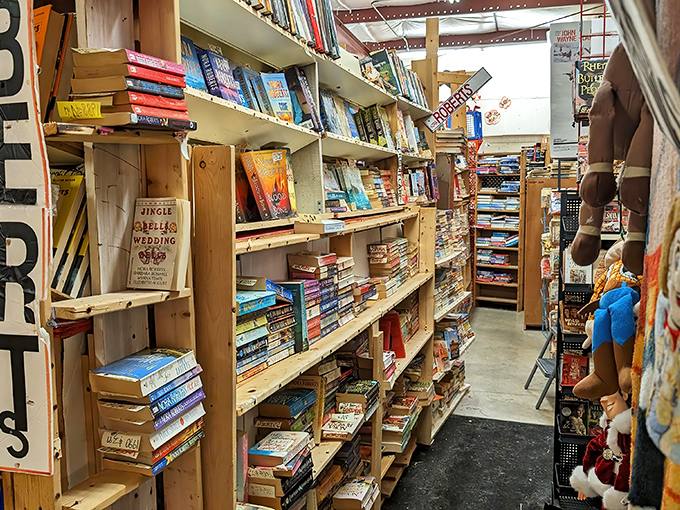 Bibliophiles, rejoice! These shelves of pre-loved books offer literary treasures at bargain prices&mdash;proof that the best adventures sometimes cost less than lunch.