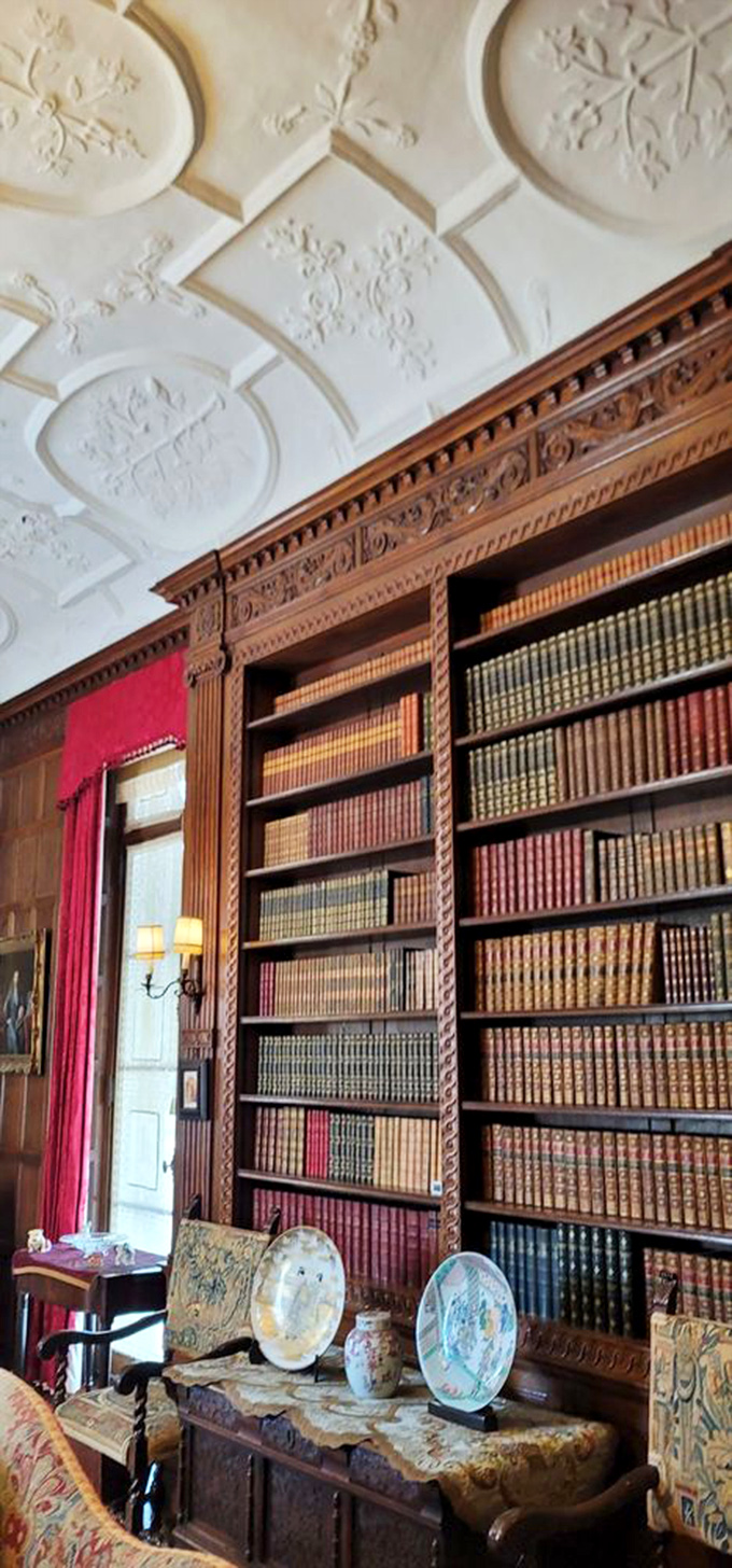 A library where books aren't just read&mdash;they're revered. Each leather-bound volume is both decoration and intellectual treasure.