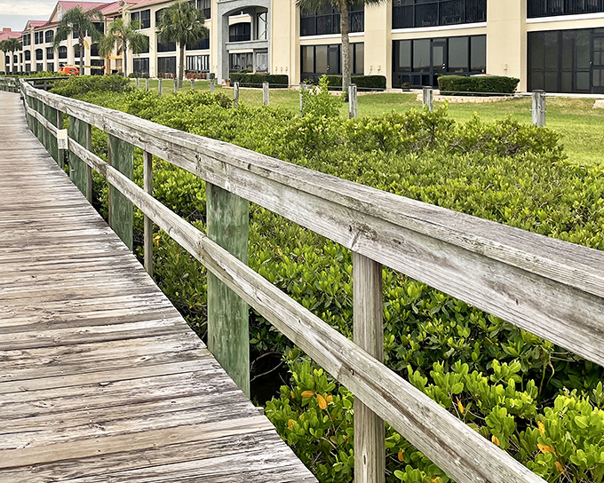 A rainbow of kayaks waits patiently for adventure, lined up like tropical fruit at a farmers market ready for the picking.