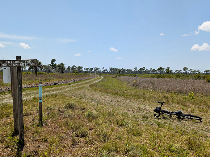 Where the wild things are &ndash; Carlton Reserve's untamed landscape offers solitude so complete you'll forget you're just miles from civilization.