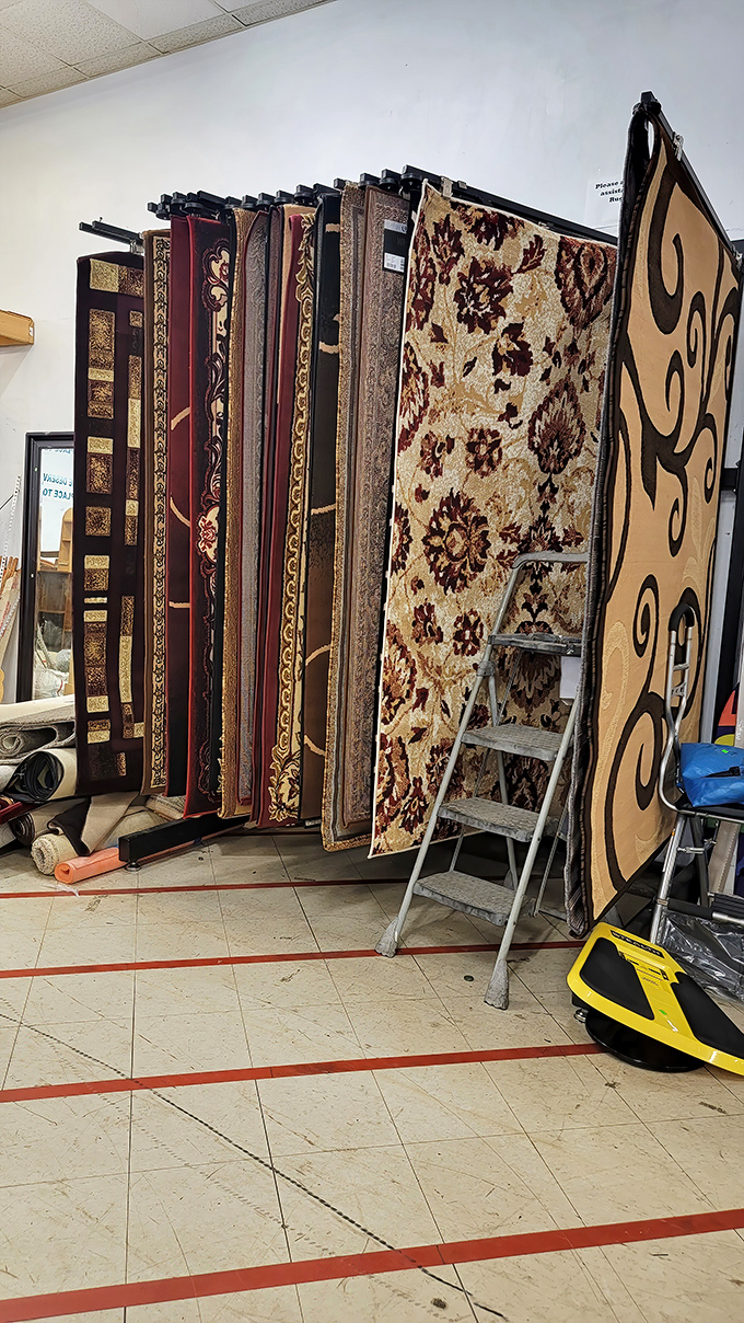 Carpet kingdom! These floor fashionistas are displayed like exotic butterflies, each pattern telling a different design story.